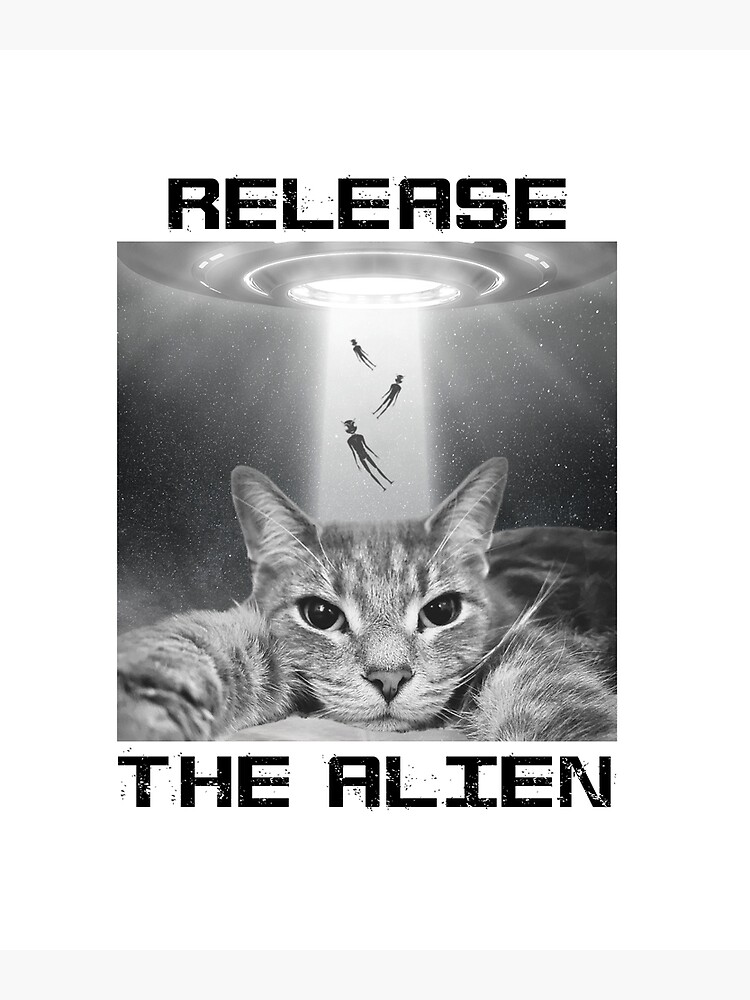 "Release The Alien Cat Selfie with Aliens Beaming Up the UFO " Art ...