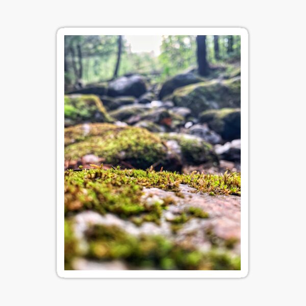 "Moss" Sticker for Sale by JSPhotography10 | Redbubble