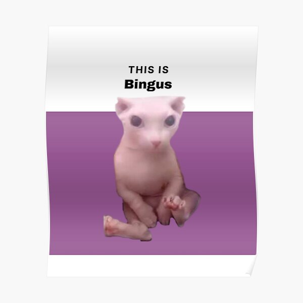 "This is Bingus " Poster for Sale by 4MarkPetri | Redbubble