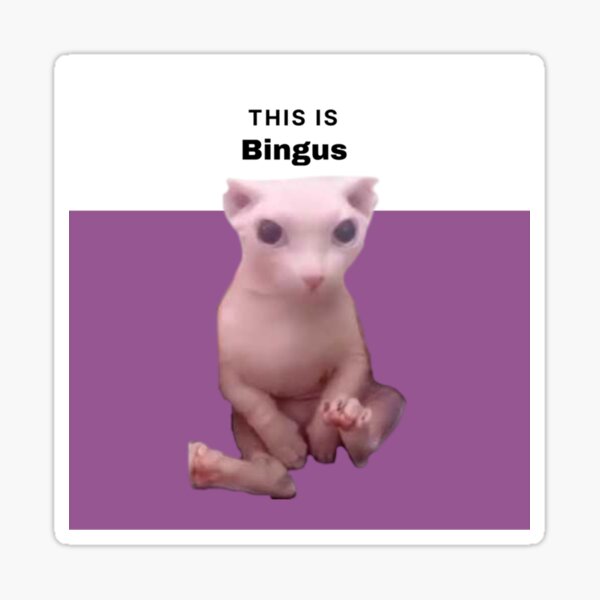 "This is Bingus " Sticker for Sale by 4MarkPetri | Redbubble
