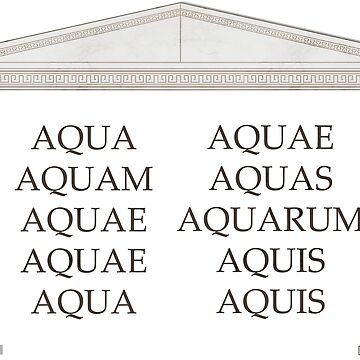 "Aqua - Latin Declension Chart, Finnish conventions" Poster for Sale by ...