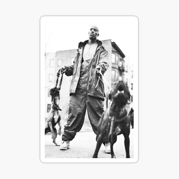 "DMX " Sticker for Sale by puppetatab | Redbubble