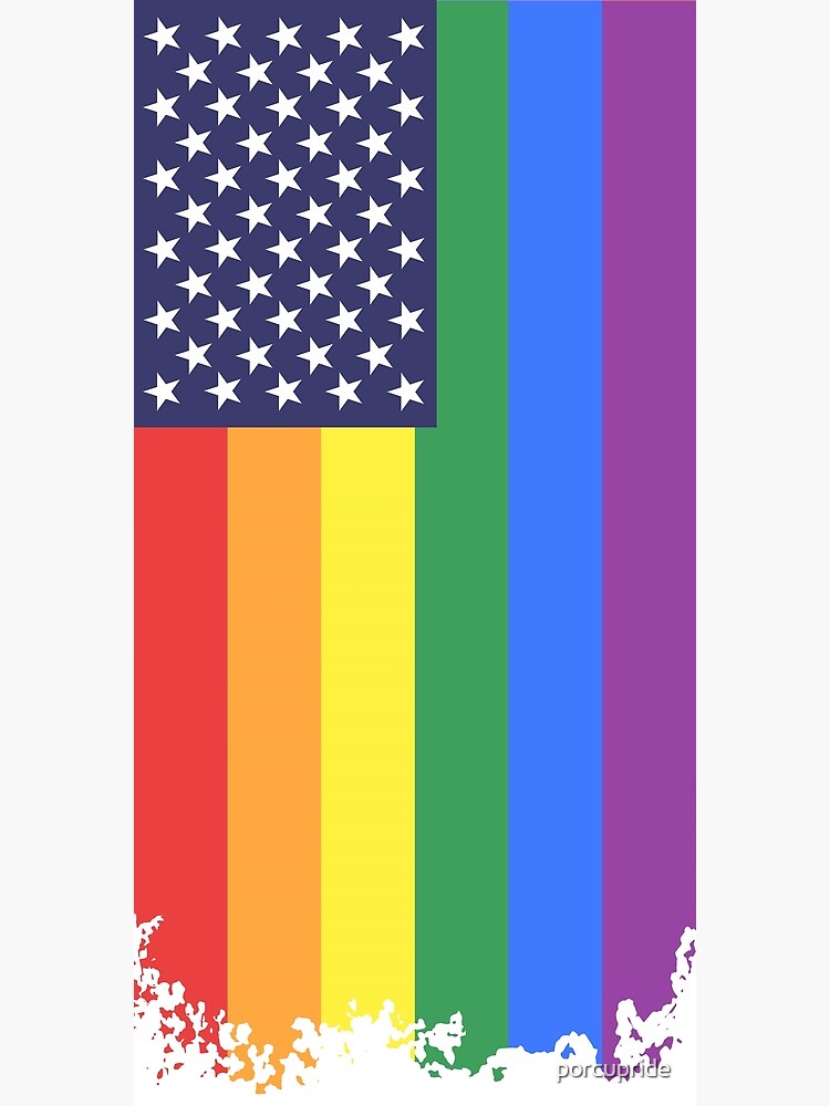 "American/LGBT+ Flag" Art Print for Sale by porcupride | Redbubble