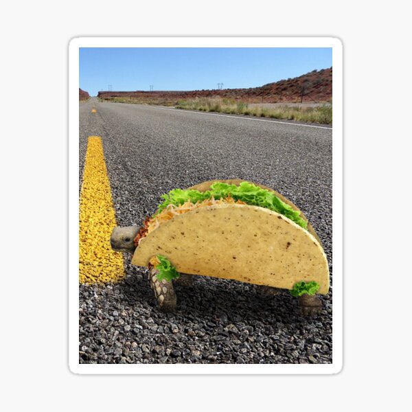 "TACO TURTLE" Sticker for Sale by westernkiwi | Redbubble