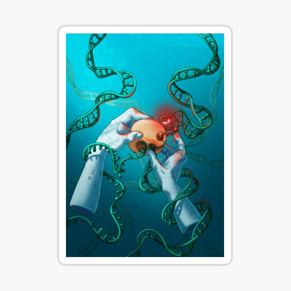 "DNA transcription repair" Sticker for Sale by MicrobeLizah | Redbubble
