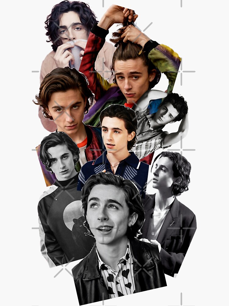 "Funny Men Timothee Chalamet Picture Collage Awesome For Music Fan ...