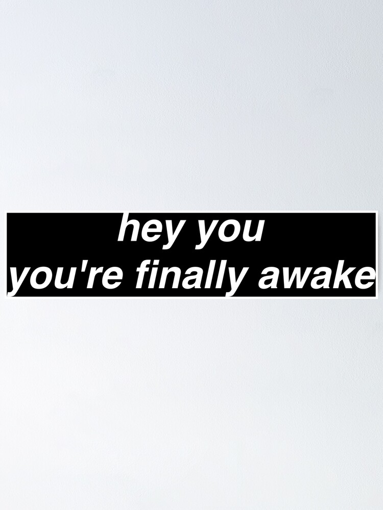 "Hey You You're Finally Awake Skyrim Meme" Poster for Sale by ACshopart ...