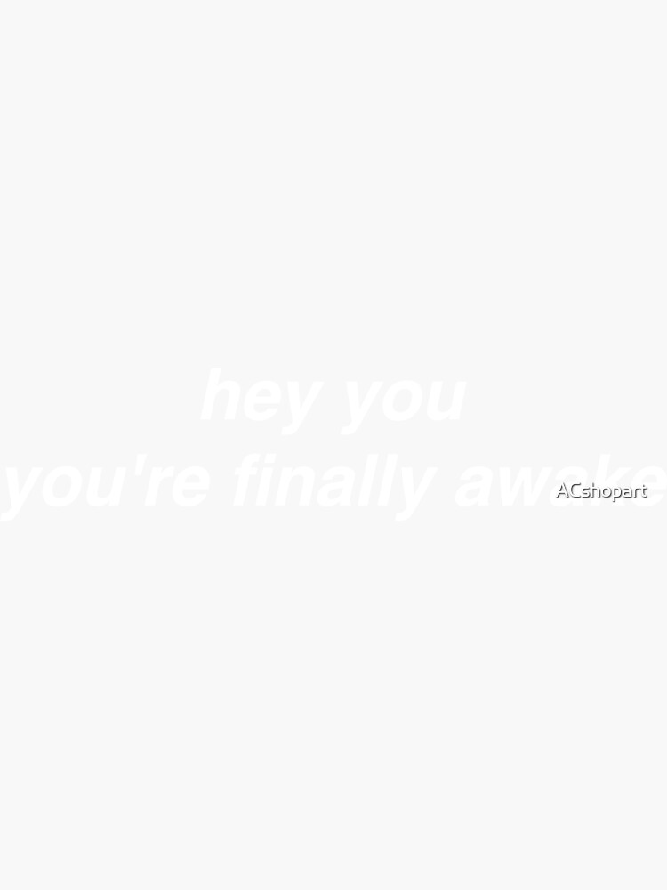 "Hey You You're Finally Awake Skyrim Meme" Sticker for Sale by ...