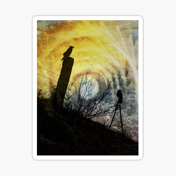 "Portal" Sticker for Sale by robjoeball | Redbubble