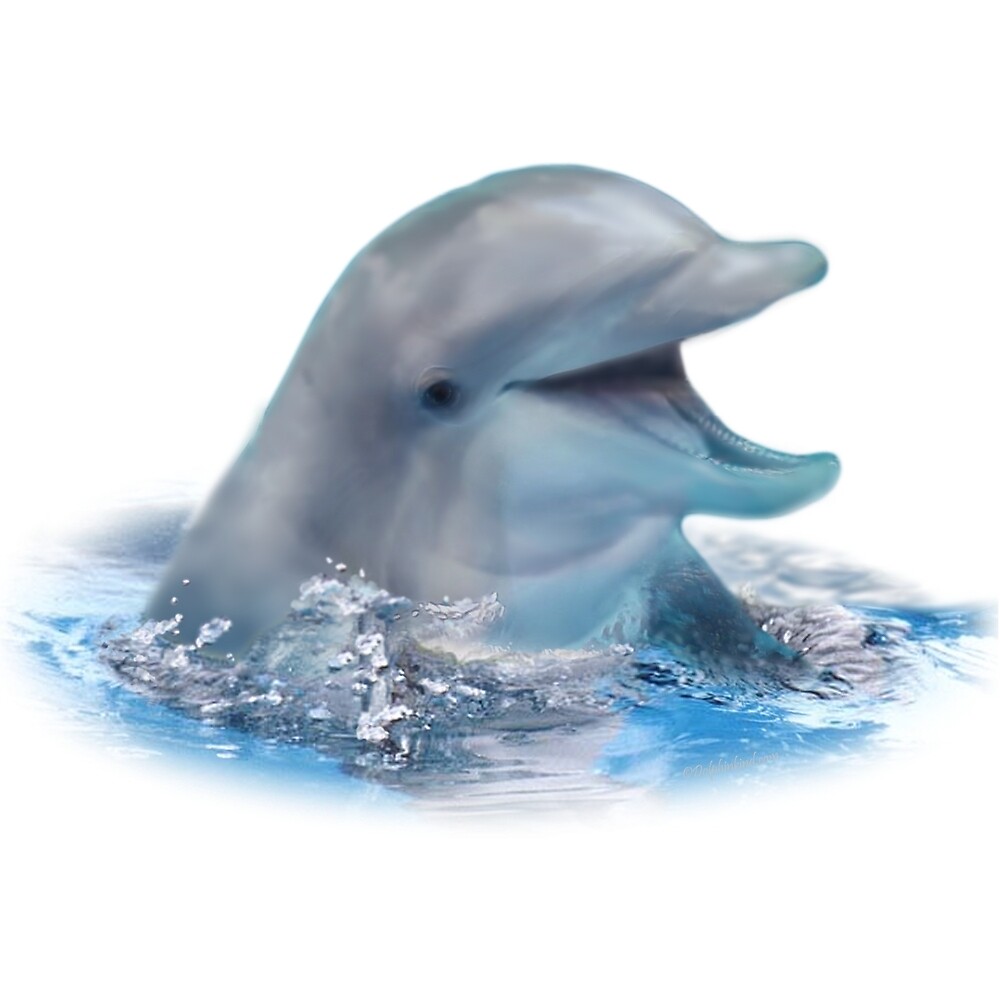 "Happy Dolphin" by DolphinPod | Redbubble