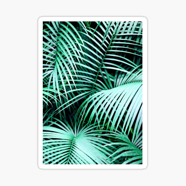 "Palm" Sticker for Sale by forbiddngoods | Redbubble