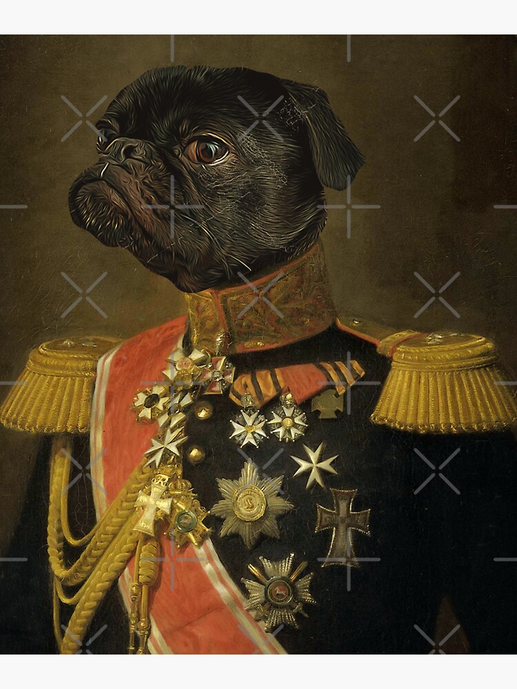 "The Duke Dog" Sticker for Sale by AYAZOU | Redbubble