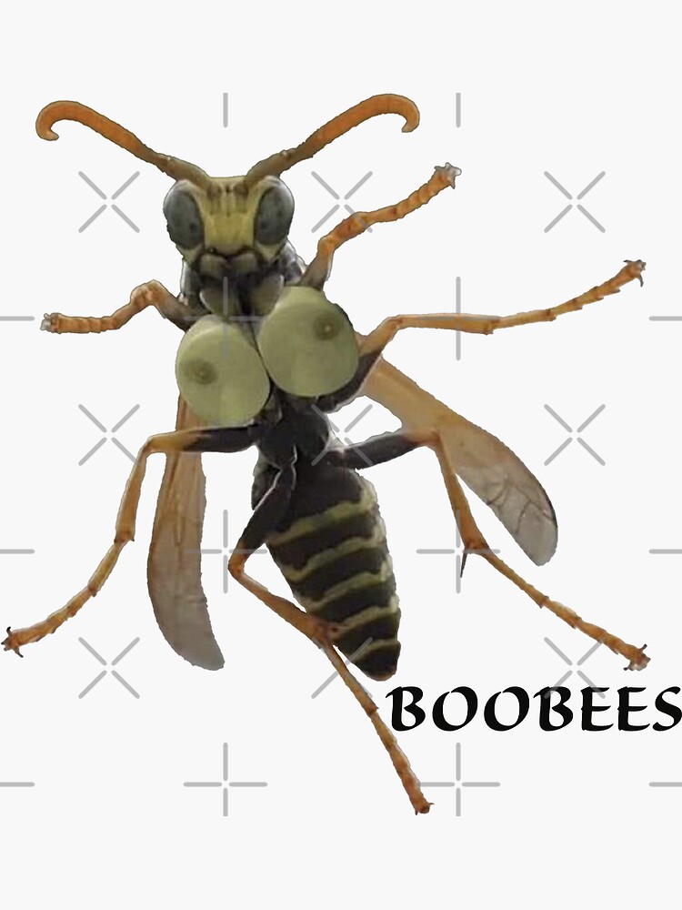 "Boobees" Sticker for Sale by OutlandishStash | Redbubble