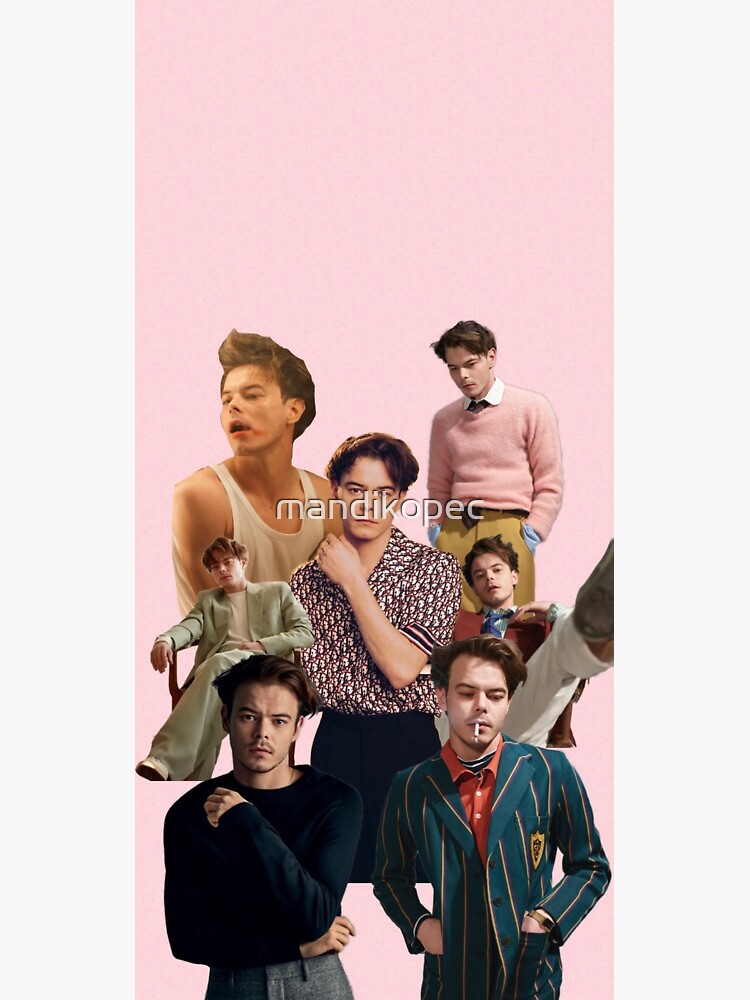 "Charlie Heaton Collage" Sticker for Sale by mandikopec | Redbubble
