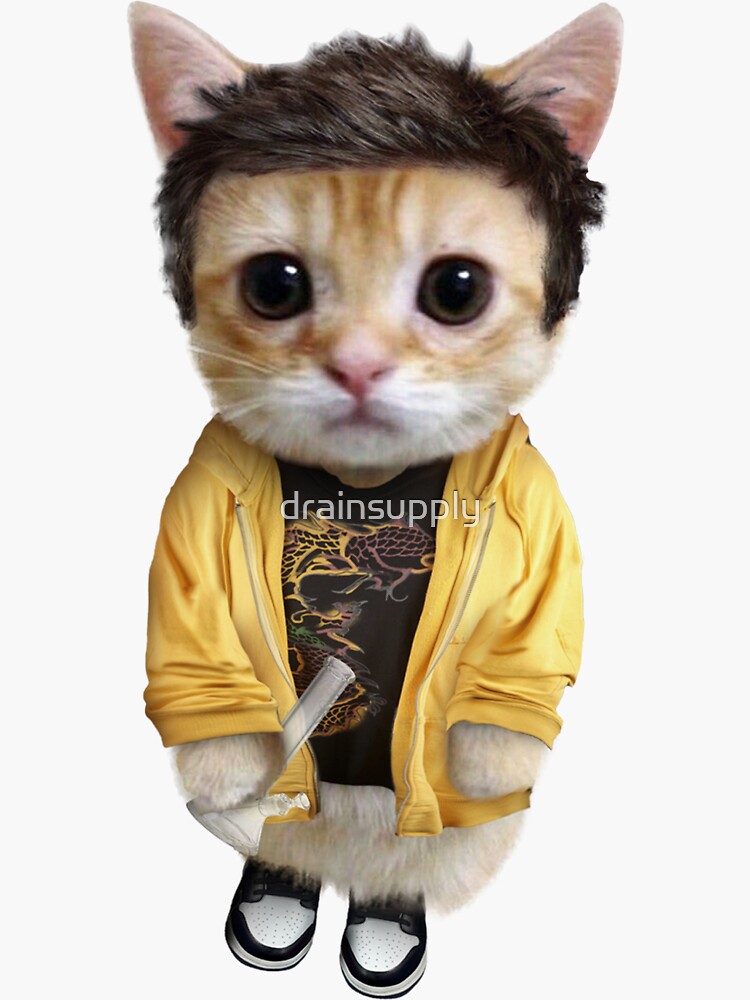 "Jesse Pinkman Kitty" Sticker for Sale by drainsupply | Redbubble