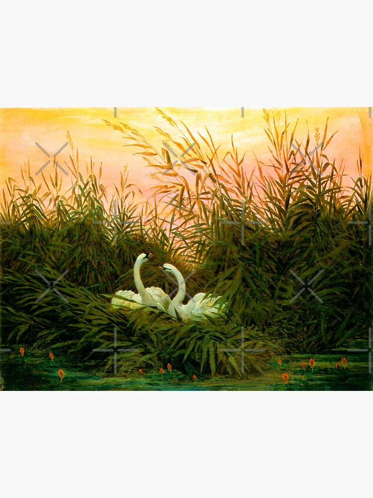 Swans in the reeds at the first dawn Caspar David Friedrich Friedrich ...