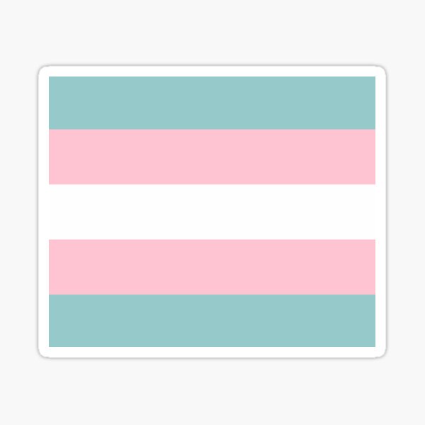 "Trans Flag" Sticker for Sale by emomathteacher | Redbubble