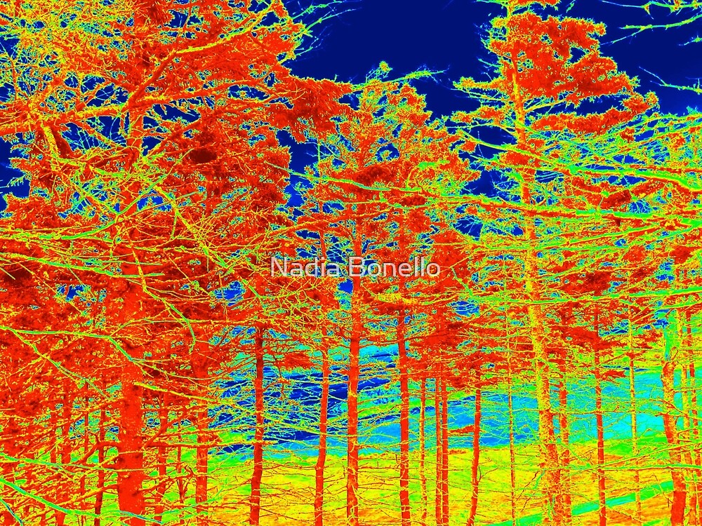 " Red Trees Pop Art | PEI, Canada" by Nadia Bonello | Redbubble