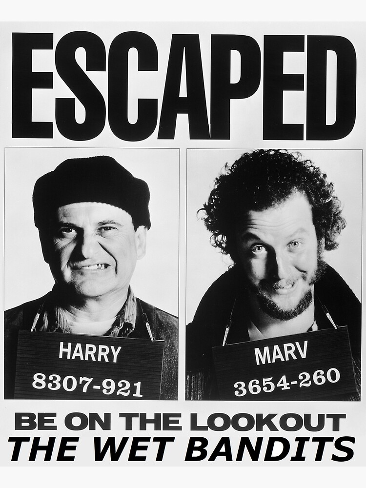 The Wet Bandits Premium Matte Vertical Poster sold by CherySmith | SKU ...