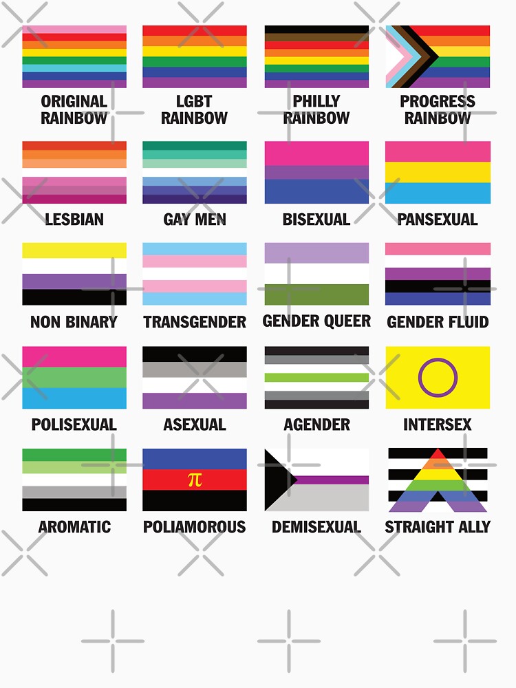 Lgbtqia Rainbow Pride Flags T Shirt For Sale By Adventuretee