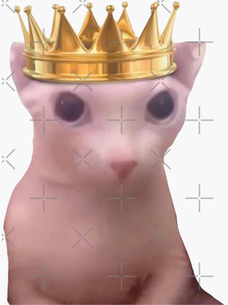 "bingus with a crown" Sticker for Sale by jvsmin | Redbubble