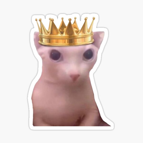 "bingus with a crown" Sticker for Sale by jvsmin | Redbubble