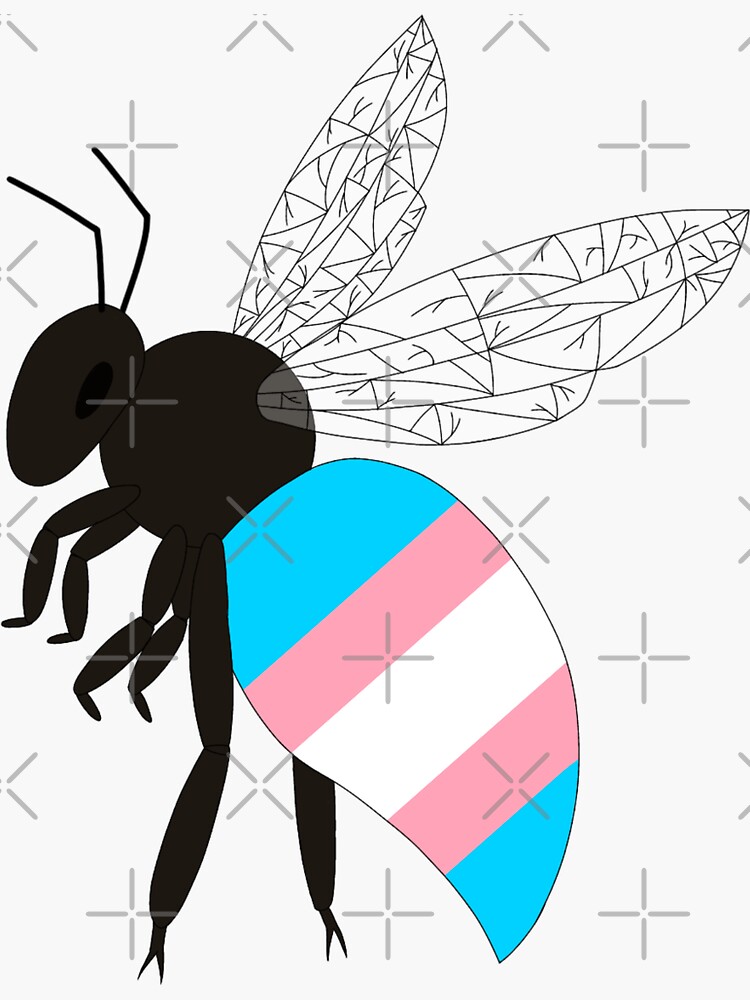 "pride bee Transgender flag" Sticker by Springtrap164 | Redbubble