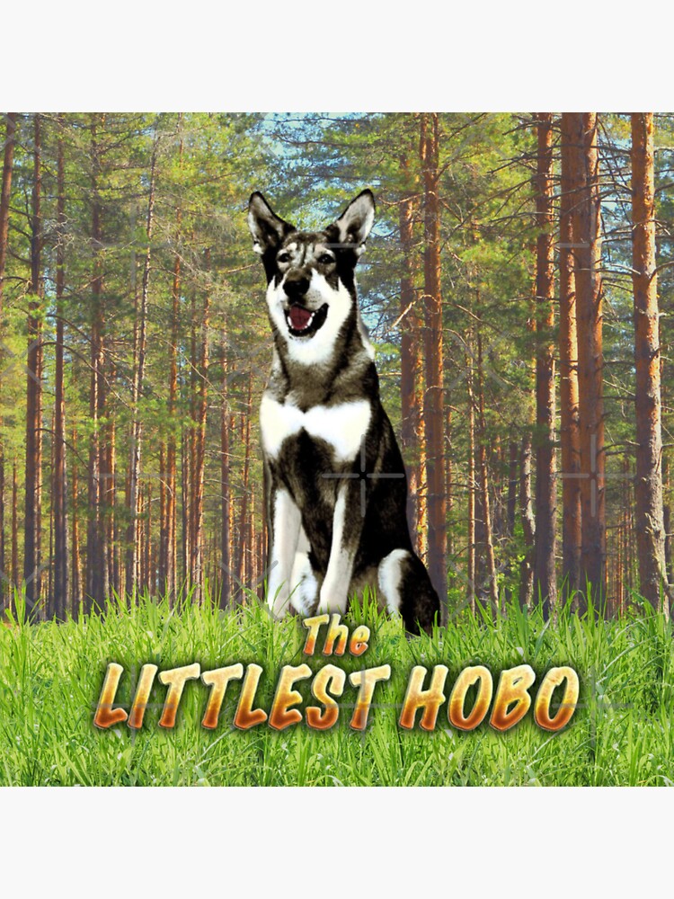 "The Littlest Hobo Forest ORIGINAL BY CRUSHART1 ON REDBUBBLE" Sticker ...