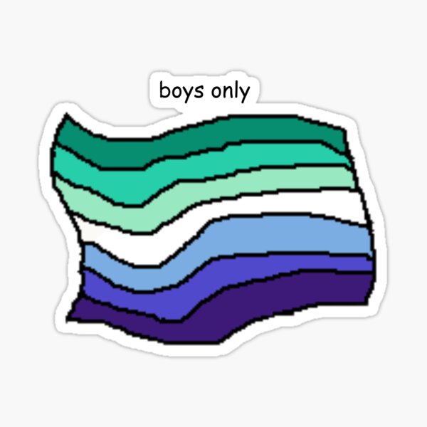 "boys only (mspaint mlm flag)" Sticker for Sale by CursedShirtCo ...