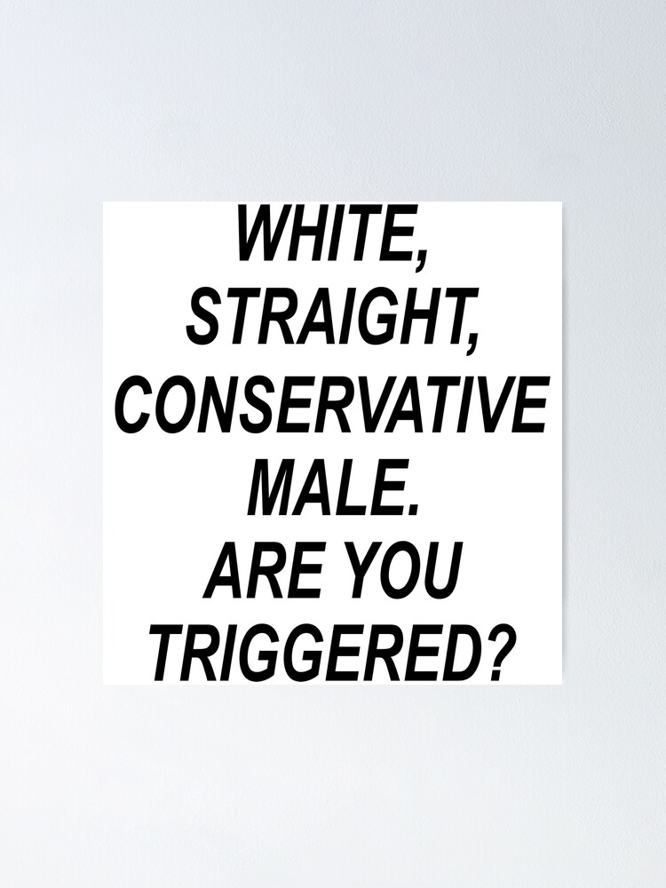 "White straight conservative male Are you triggered" Poster for Sale by ...