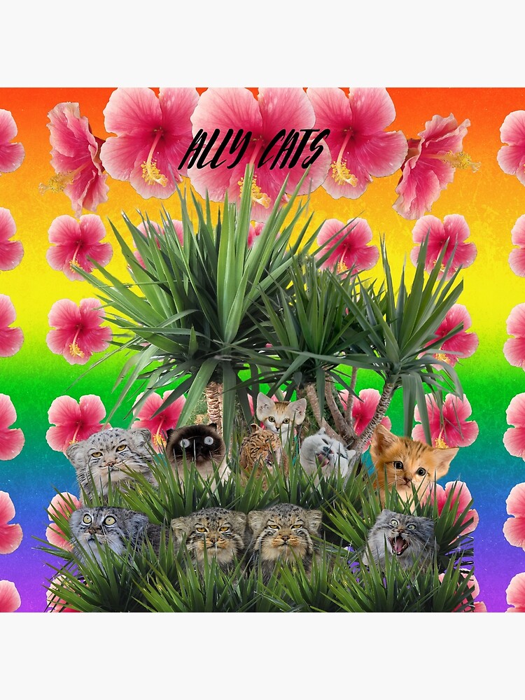 "Ally Cats " Poster for Sale by Jonddesign | Redbubble