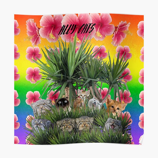 "Ally Cats " Poster for Sale by Jonddesign | Redbubble