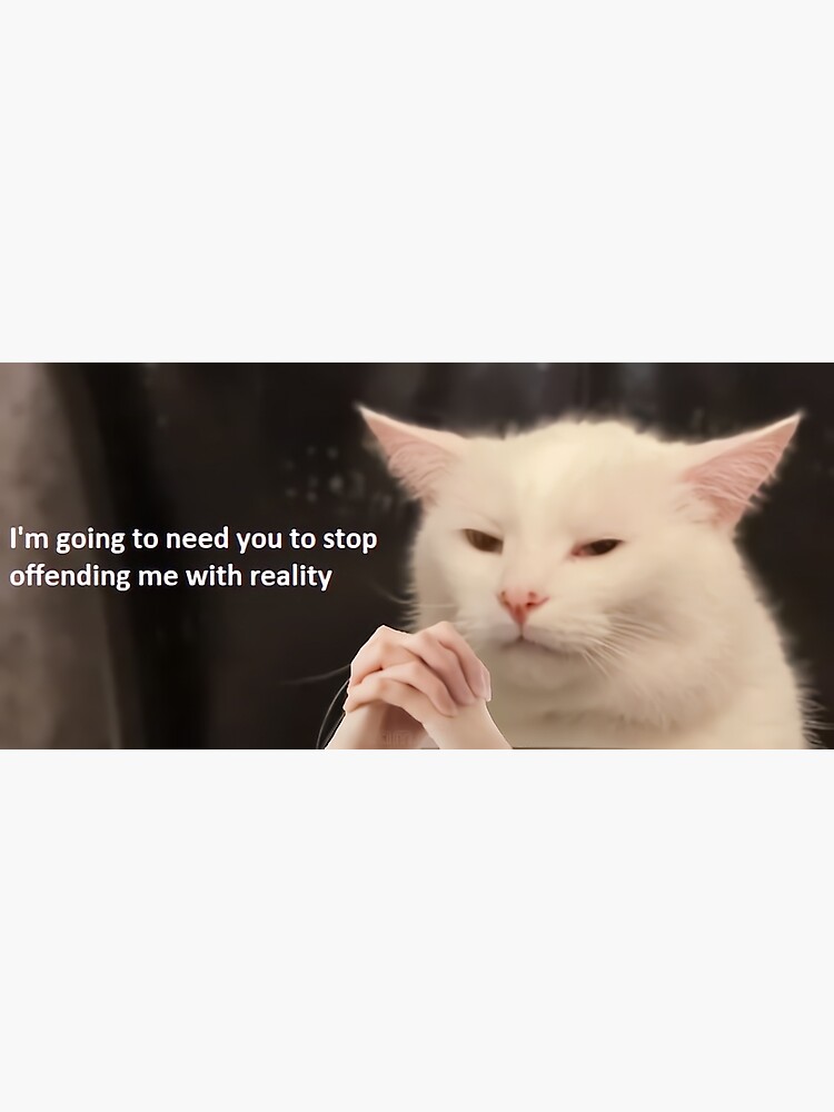 "Offend me cat" Poster for Sale by XNIO | Redbubble