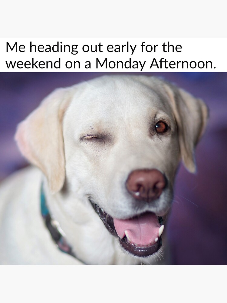 "The Early Dog Gets Fired" Sticker for Sale by ProfileP | Redbubble