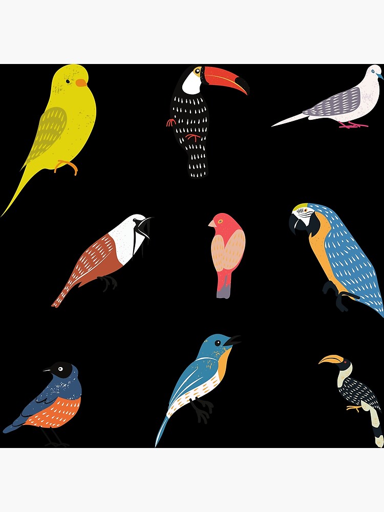 "birds sticker pack" Poster for Sale by stickers-packs | Redbubble