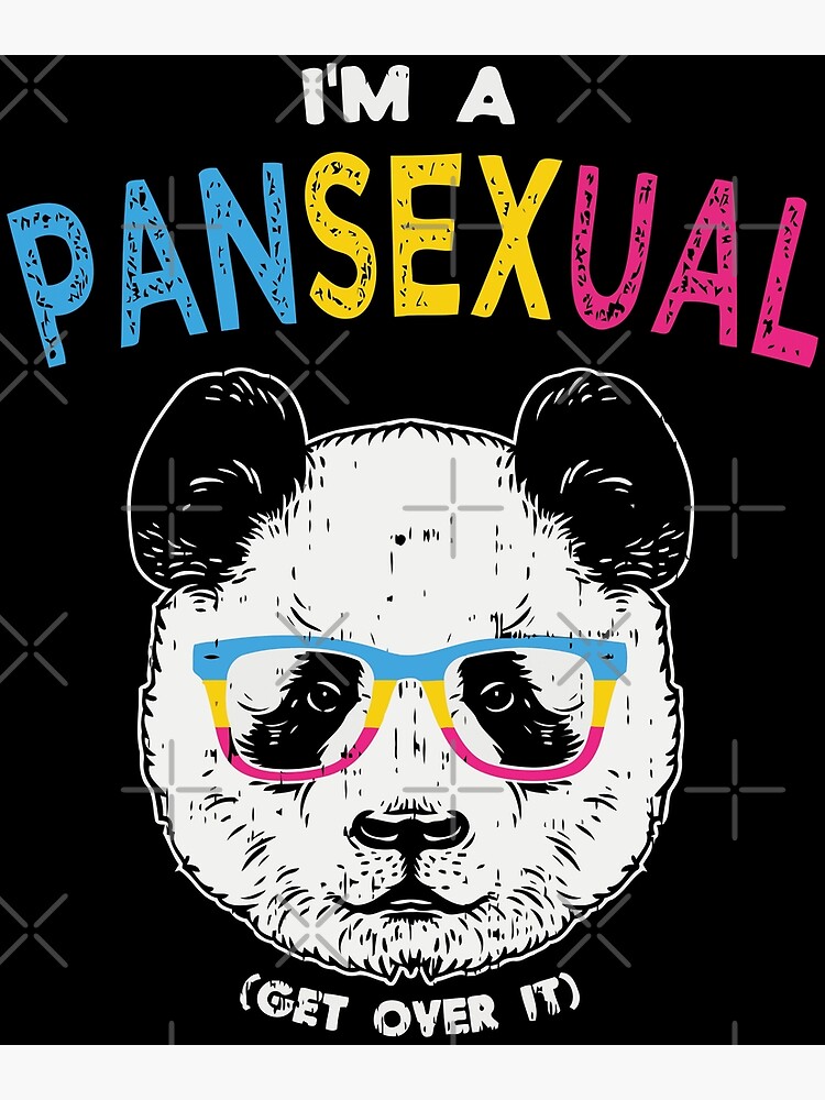 " happy pride month lgbtq month 2022 I'm a Pansexual Get over it tee ...