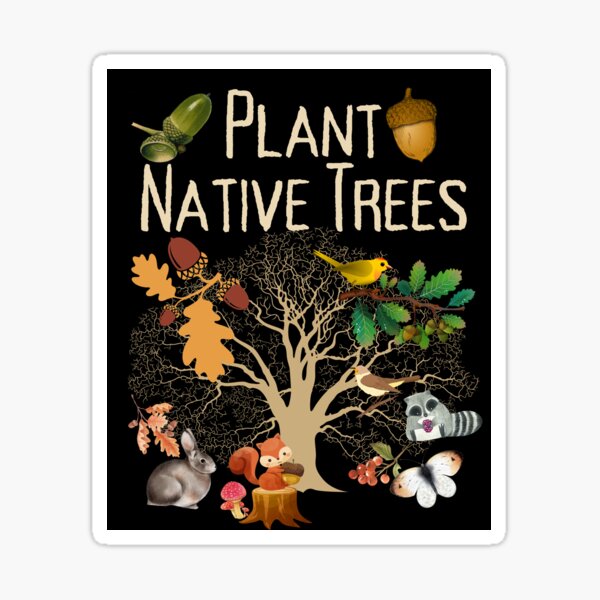 "Plant Native Trees Colorful Eco-Friendly Design" Sticker for Sale by ...