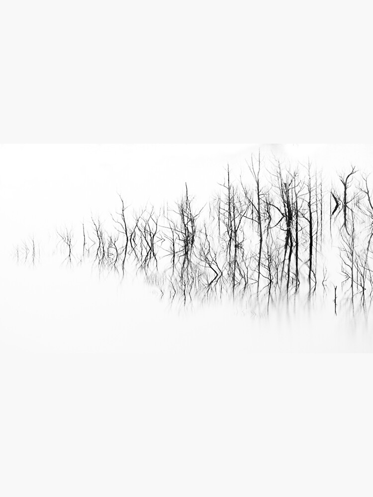 "Trees of Lake Gordon" Poster by JamesStone | Redbubble