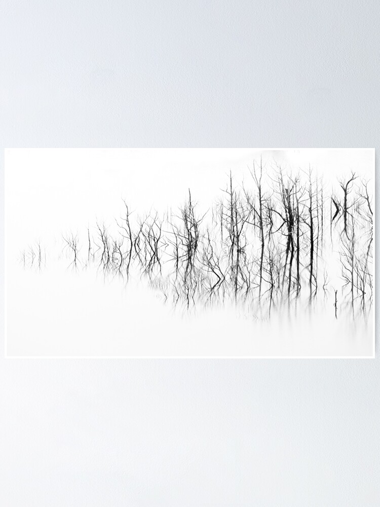 "Trees of Lake Gordon" Poster by JamesStone | Redbubble