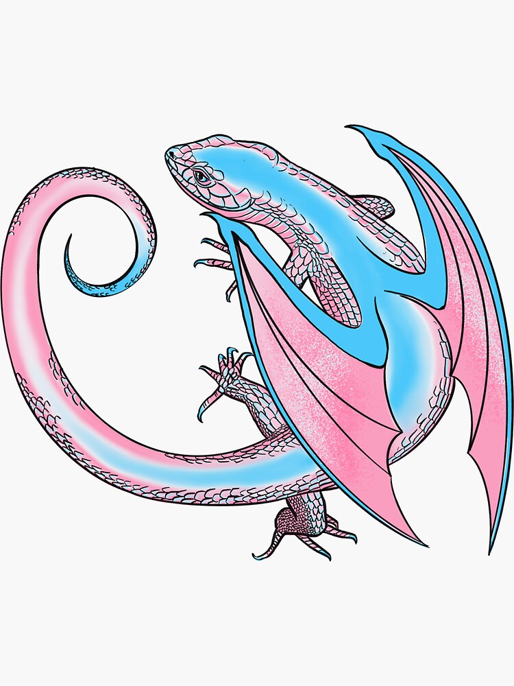 "Transgender Pride Dragon " Sticker for Sale by AlanaReneArt | Redbubble