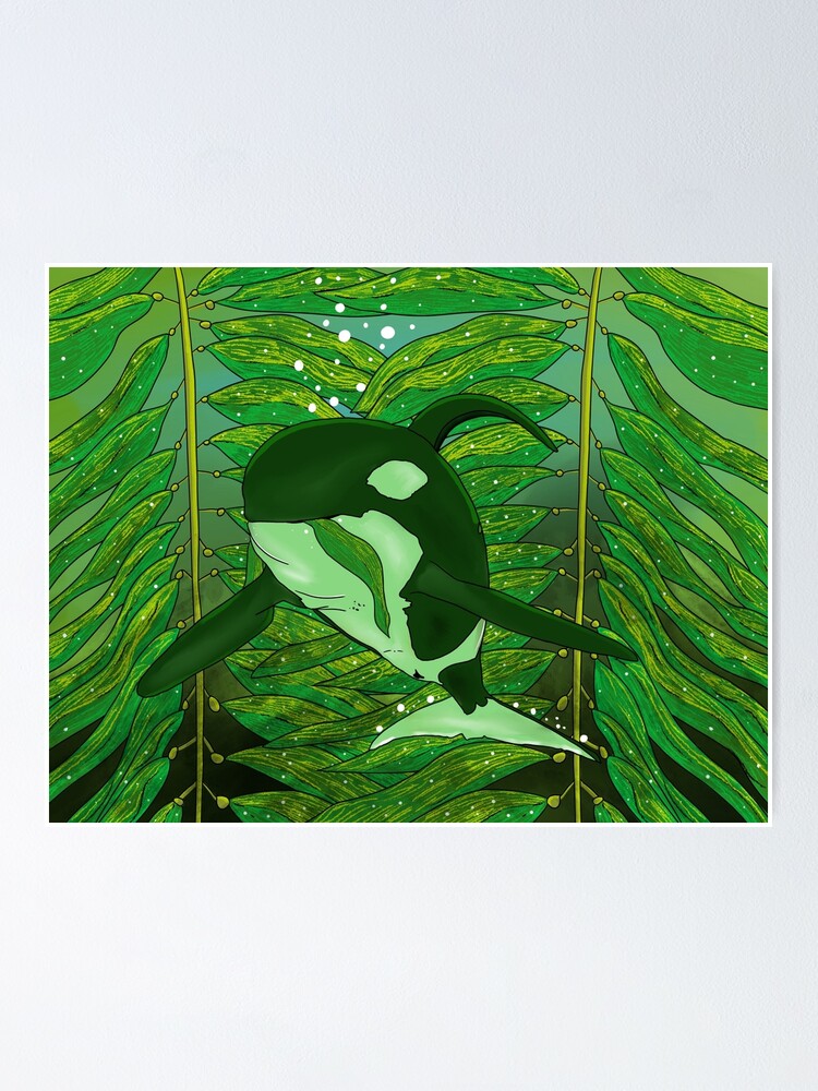 "Orca kelp forest " Poster for Sale by H2OMammals | Redbubble