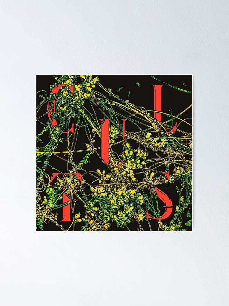"Host" Poster for Sale by ritschcedr | Redbubble