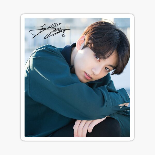 "BTS Jung Kook" Sticker for Sale by SwanForDesigns | Redbubble