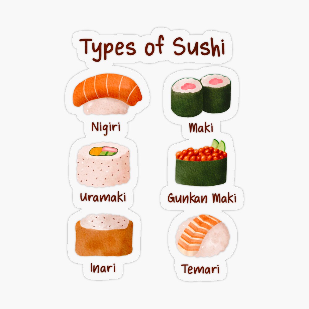 Types Of Sushi Infographic