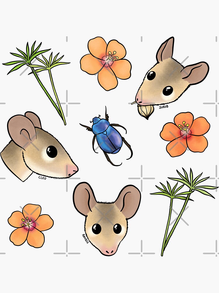 "Spiny Mice" Sticker by Ruedile | Redbubble