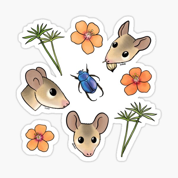 "Spiny Mice" Sticker by Ruedile | Redbubble