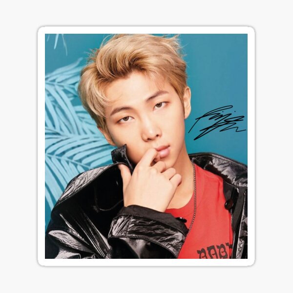 "BTS Kim Namjoon" Sticker for Sale by SwanForDesigns | Redbubble