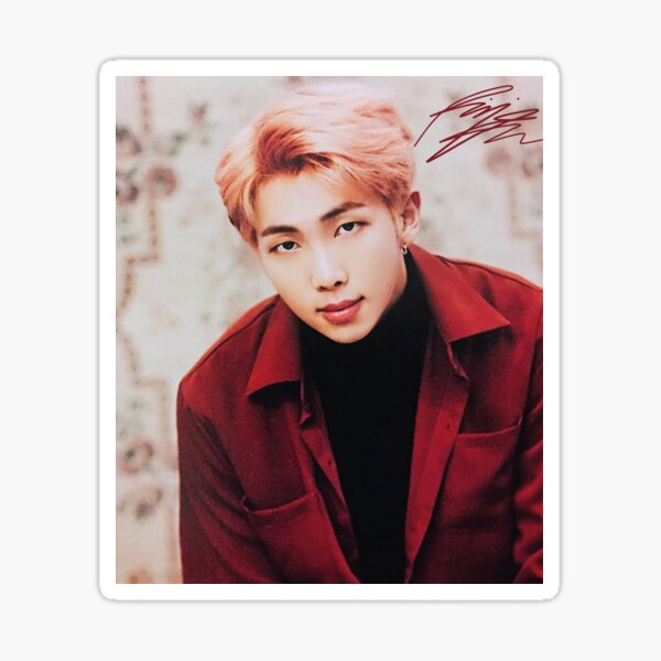 "BTS Kim Namjoon" Sticker for Sale by SwanForDesigns | Redbubble
