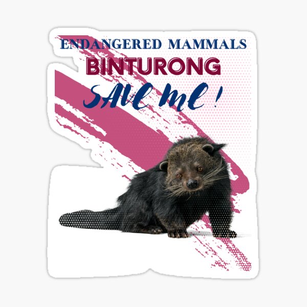 " Binturong" Sticker for Sale by yassooarts | Redbubble
