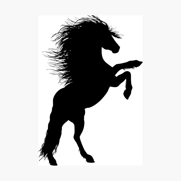 Prancing Horse Wall Art | Redbubble